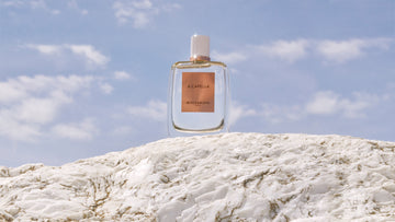 Roos & Roos – Roos & Roos